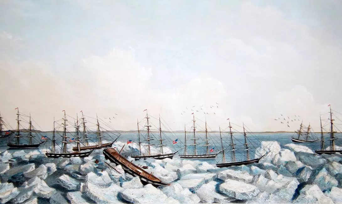 Sheekada musiibada lafteeda 2 -dii Sebtembar 1871, in ka badan 1200 whalers oo ah maraakiib 33 maraakiib ah ayaa ku xayiran Badweynta Arctic. Maraakiibtii ku xanibnaa barafka xirmooyinka ayaa burburay toddobaadyo gudahood. Nasiib wanaag, ku dhawaad ​​kala bar shaqaalihii ayaa baxsaday: whalers oo ka yimid aagga oo dhan ayaa u soo gurmaday. Khalad ka dhacay jaantusyada markabka ayaa keenay jahawareer yar - badmaaxiintu waxay tilmaameen meel u dhow biyaha horumaray, sidaa darteedna ma helin dareenka saynisyahannadii wakhtigaas.