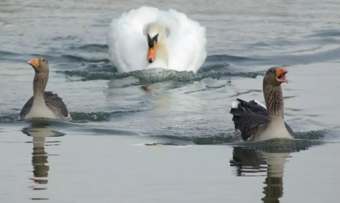 Treffen Sie die Fotografin: Graham Brown