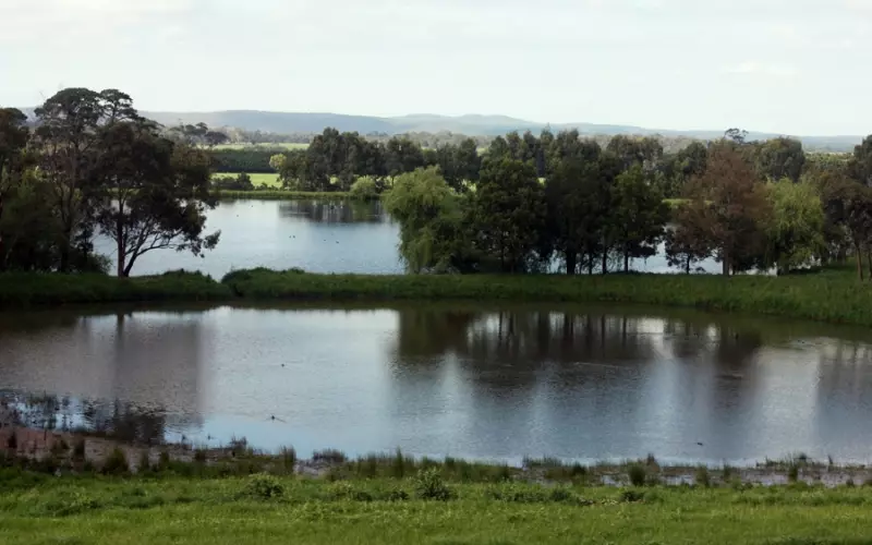 Love Ness Monster Den britiske fætter til den berømte Nessie bor i en sø nær byen Loveborough i Leicestershire. Grundlæggende blev han berømt for det faktum, at han fra tid til anden spiser ænder og har uforskammethed til at plaske ned på den vildledende rolige overflade af søen.