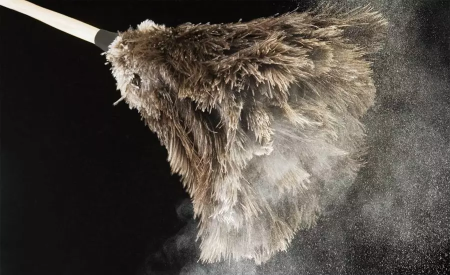 Rag Leave grandfathers' methods to grandfathers. A damp cloth will, of course, visually free the space from dust. But it is not capable of destroying either dust mites or destroying their habitat. By and large, you just scatter these critters in different directions. Stop it.