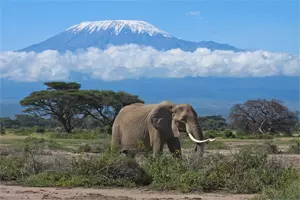 Maua se taimi e vaʻai ai ma ou lava mata