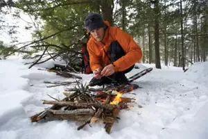 Overlevingstactieken in het winterbos