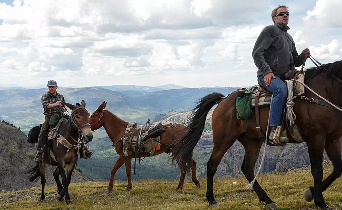 Mae llawer o wyddonwyr yn ymroi eu bywydau i waith anialwch ym Mharc Cenedlaethol Yellowstone. Un o'r cefnogwyr hyn yw'r biolegydd Arthur Middleton, sydd wedi treulio'r ddwy flynedd ddiwethaf yn astudio nodweddion ymfudiad anifeiliaid lleol ar lawr gwlad.