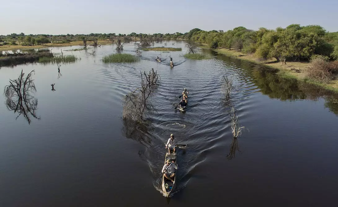 Treuliodd y biolegydd Steve Boyes 120 diwrnod yn Ne Affrica, a benderfynodd arwain ei dîm o flaenddyfroedd Afon Okavango yn Angola i'w delta anialwch yn Botswana. Roedd y daith ganŵio dywyll yn werth yr holl ymdrech: ar ddiwedd y daith, darganfu Boyes y diriogaeth fwyaf heb ei gyffwrdd, gyda llawer o anifeiliaid gwyllt yn byw ynddo.