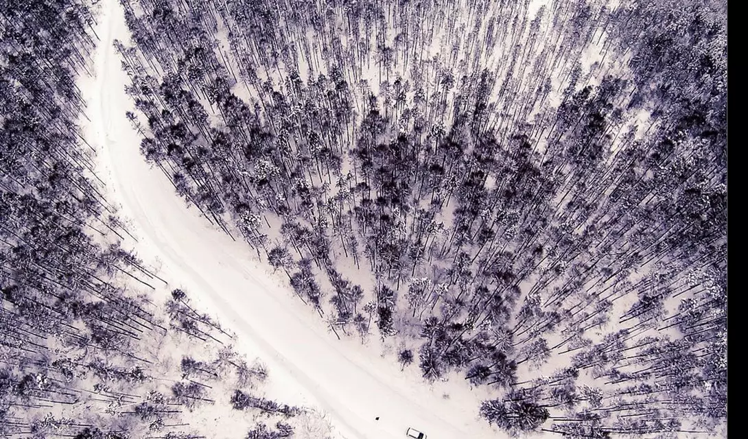 Smrznuta šuma Neryungri, Rusija