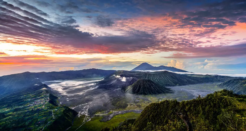 Fodd bynnag, nid yw'r holl dir o amgylch Bromo mor ddifywyd. Mae yna fforestydd glaw hefyd gyda cheirw, macaques bwyta crancod, cathod marmor a hyd yn oed llewpardiaid. Yn ogystal, mae'r bywyd gwyllt lleol yn cynnwys tua chant o rywogaethau o adar, gan gynnwys eryrod a hebogau.