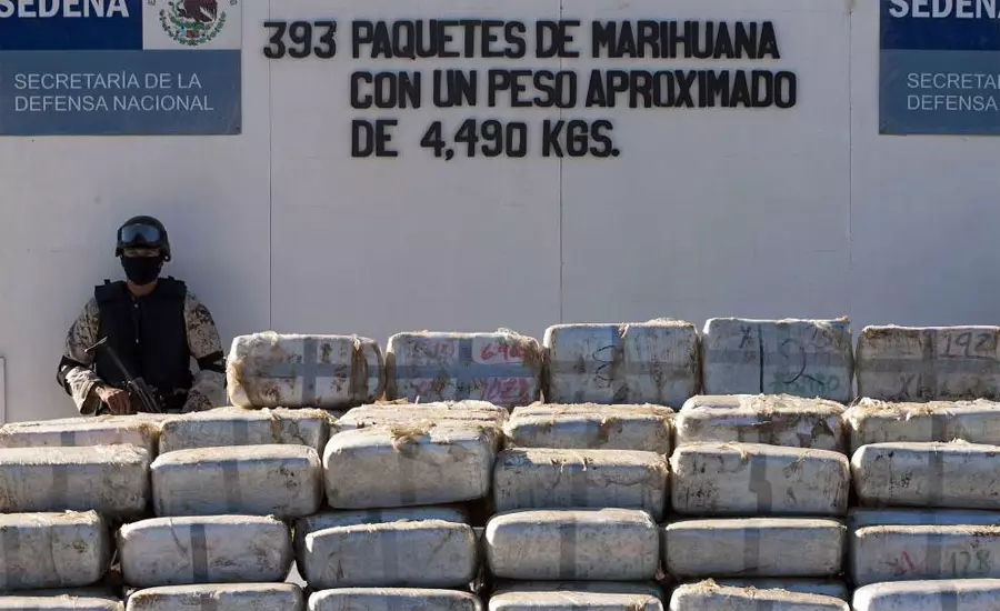 Tijuana Godina specijalne operacije: 2009 Ukupna težina zaplijenjenog: 30 tona Sastojci: marihuana Podzemne tunele, koje su majstori pretvorili u prave staklenike, pronašla je u svom gradu meksička narko policija. Kao rezultat operacije, zaplijenjeno je više od 30 tona marihuane spremne za upotrebu, ukupne vrijednosti 20 miliona dolara.