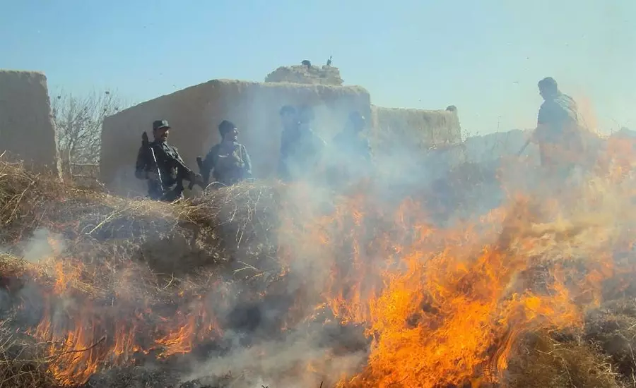 As maiores operações de drogas da história 9087_6