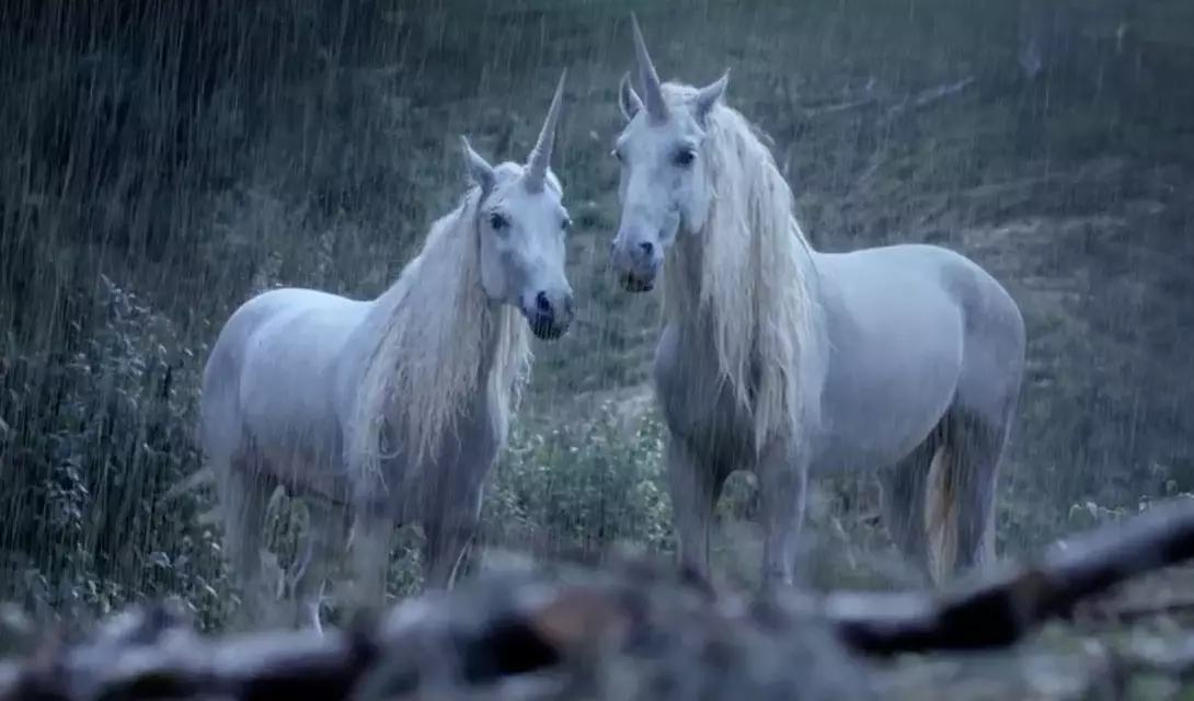 Is créatúir taibhseach agus uasal iad Unicorn Unicorns a shiúil taobh le daonnacht shaobhchreidmheach leis na cianta. Is siombail iad íonacht agus maitheas, pearsanú na saoirse fiáine. Ceanglaíonn beagnach gach cultúr an t-unicorn le cult na torthúlachta: de réir na finscéal, níl ach maighdean in ann teacht suas agus an beithíoch seo a thalú.