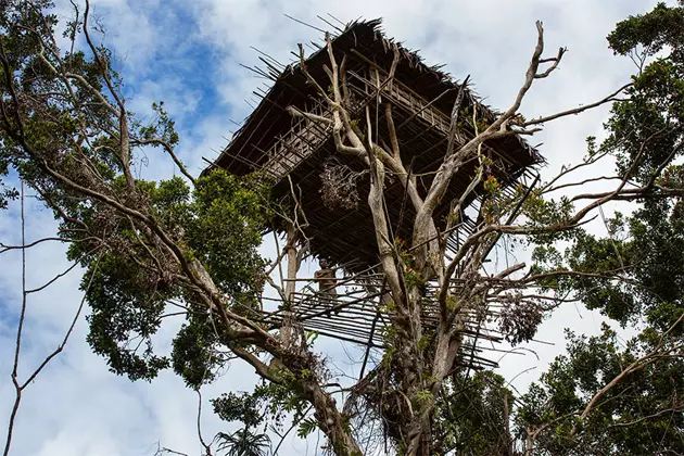 Korowai: um mundo perdido acidentalmente encontrado na selva