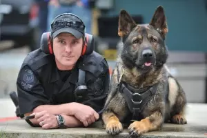 5 hoofreëls van 'n polisiehond