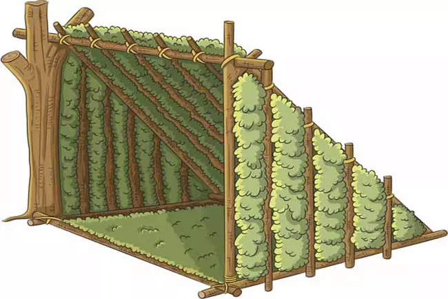 Build a Shelter Näischt ass besser wéi ënner de Stären ze schlofen. Op d'mannst ier et ufänkt ze reenen. Deen einfachste Wee fir sou Iwwerraschunge vun der Natur ze entkommen ass eng Canopy ze bauen. Ären Iwwerliewensarmband hëlleft dëst - mat hirer Hëllef kënnt Dir d'Branchen vum nootste Bam einfach an en zouverléissege gréngen Daach bannen.