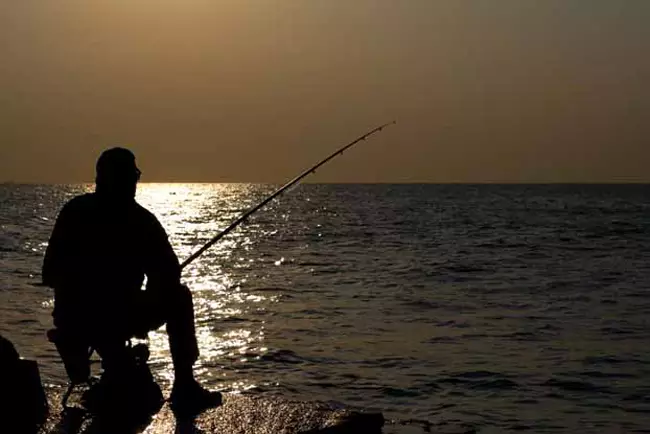 Memancing Sekarang anda boleh menjaga makanan. Memancing hampir tidak memerlukan kemahiran dan boleh menjadi sumber makanan yang sangat baik di alam liar. Lupa joran anda di dalam kereta anda, yang kini berjarak beberapa puluh kilometer? Tidak menjadi masalah: paracord boleh menggantikan garis terkuat. Pada prinsipnya, tongkat apa pun sesuai sebagai batang, dan klip kertas biasa boleh menjadi cangkuk.