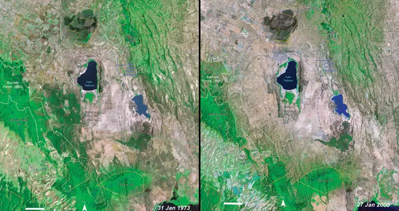 Desmatamento Parque Nacional de Nakuru, Quênia Esquerda: 1973 Direita: 2000