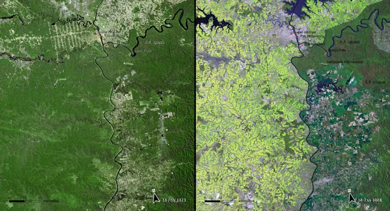 Faʻaleagaina o laʻau i le Vaomatua Atelani Paraguay Tauagavale: 1973 Taumatau: 2008