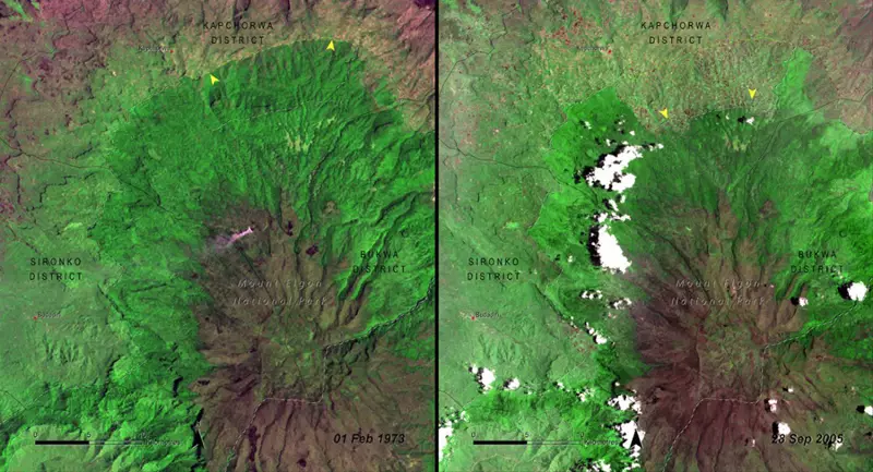 Darizandina Parka Neteweyî ya Çiyayê Elgon, Uganda Çep: 1973 Rast: 2005