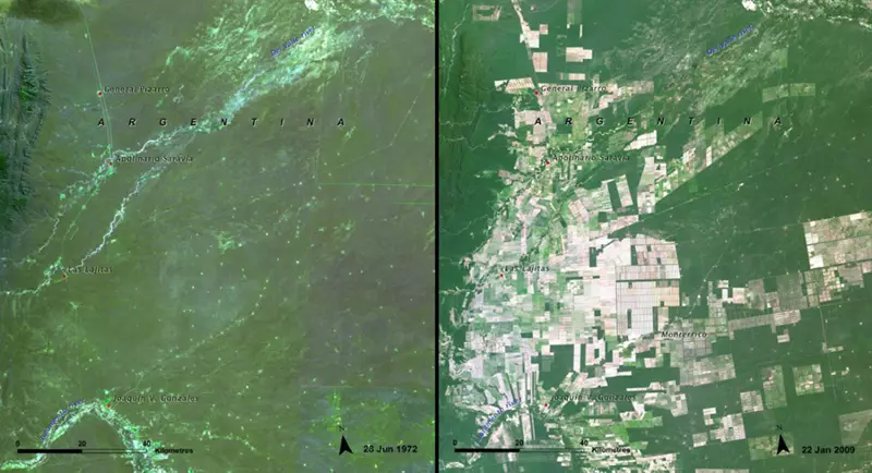 Daristan Salta Forest, Arjantîn Çep: 1972 Rast: 2009