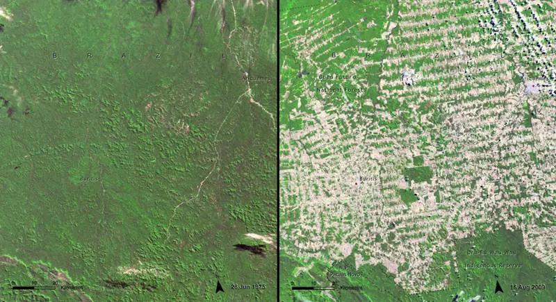 Desmatamento de Rondônia, Brasil Esquerda: 1975 Direita: 2009