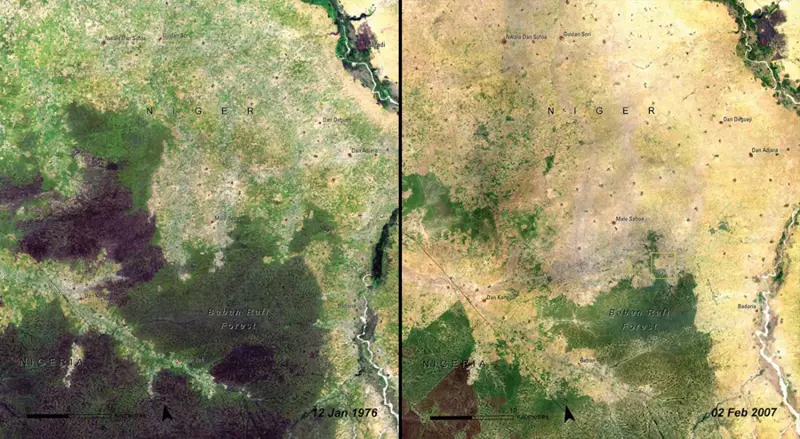 Xaalufinta Baban Rafi, Niger Bidix: 1976 Midig: 2007