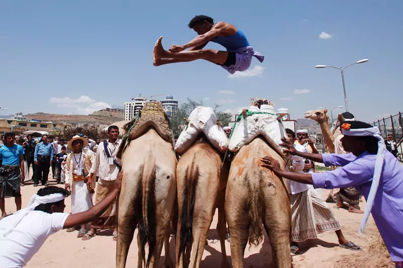 Gusimbuka ingamiya Muri Yemeni, iyi disipuline iteye kubice byinshi byisi ni siporo yigihugu. Ubwa mbere, abanywanyi basimbuka ingamiya 3 bahagaze hafi yabo, hanyuma banyuze mu ngamiya 4, 5 na 6. Bifatwa nk'indege gusimbuka ingamiya 7. Ibisabwa mu marushanwa ni uko iyo usimbutse, utagomba gukora ku mugongo w'ingamiya.