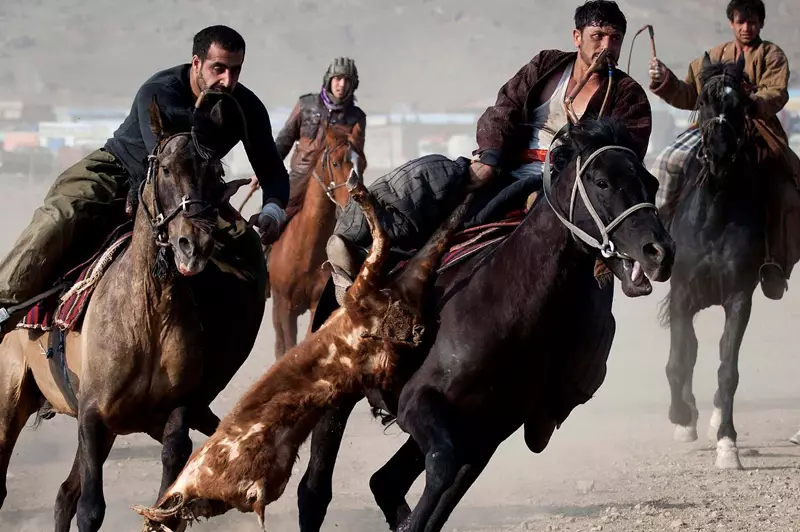 Buzkashi 一种古老的马术运动，遍布中亚。球场上发生的动作类似于经典马球的野蛮版本，只是骑手没有球杆，他们使用的是被斩首的山羊尸体而不是球。骑手需要从地上捡起尸体并尽可能长时间地握住它。