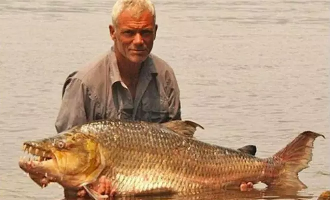 10 ikan paling berbahaya yang hidup di sungai-sungai di dunia