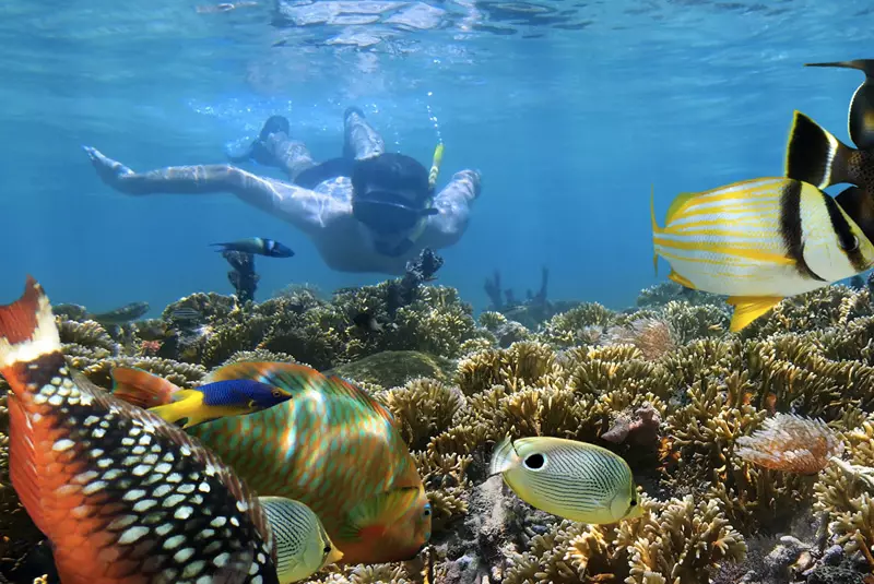 Cayo de Agua, Los Roques, Venezuela Los Roques skjærgård består av 350 øyer, skjær og små holmer. Den har en atollstruktur, som ikke er helt typisk for Karibia. Atollen, beskyttet av en ekstern korallbarriere, er omgitt av krystallklart turkis vann med en temperatur på 27 ° C. På grunn av det lave næringsnivået og avstanden fra fastlandet, er skjærgårdens vann absolutt gjennomsiktig: livet til undervannsverdenen er synlig for det blotte øye selv fra land. De som velger å bruke finner og maske kan se 61 arter av koraller, 200 arter av krepsdyr og omtrent 280 fiskearter.