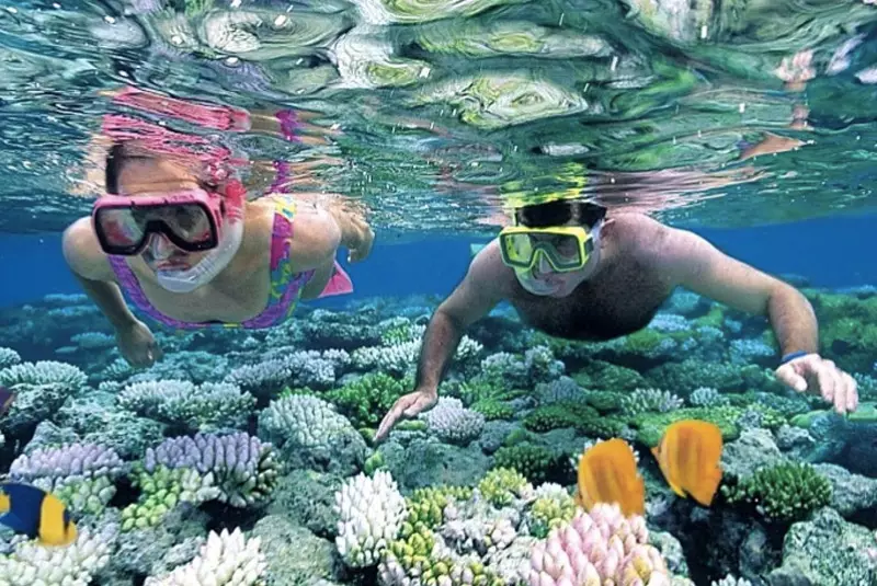 Mnemba Island, Tanzania Dette er en liten øy som ligger 2 km. nordøst for Zanzibar. Rundt øya til en dybde på 800 meter har naturen bygget en naturlig barriere - en korallatoll, som har blitt hjemsted for mer enn 430 representanter for den tropiske undervannsverdenen. I det lokale vannet legger grønne skilpadder, som er oppført i den røde boken, eggene sine; ikke langt fra kysten av øya er det en migrasjonsrute for hval og tre arter av delfiner.