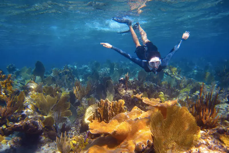 Smith Reef, Providenciales Island, Turks and Caicos The Turks and Caicos бол Гаитигаас хойд зүгт орших Британийн хилийн чанад дахь 30 арал бүхий нутаг юм. Архипелаг нь цагаан элсэрхэг наран шарлагын газруудаараа алдартай бөгөөд дэлхийн хамгийн урт хадны сүлжээнүүдийн нэг юм. Алдарт Смит Риф нь аялал жуулчлал, амралтын газрын төв болох Провиденсиалес арал хүртэл үргэлжилдэг. Энэ бол олон төрлийн далайн амьтдын амьдардаг өвөрмөц байгалийн экосистем юм. Зуны улиралд хад хадны сургуулиуд эзэлдэг бөгөөд өвөл, хавар та бөх халимуудын нүүдлийг харж болно.