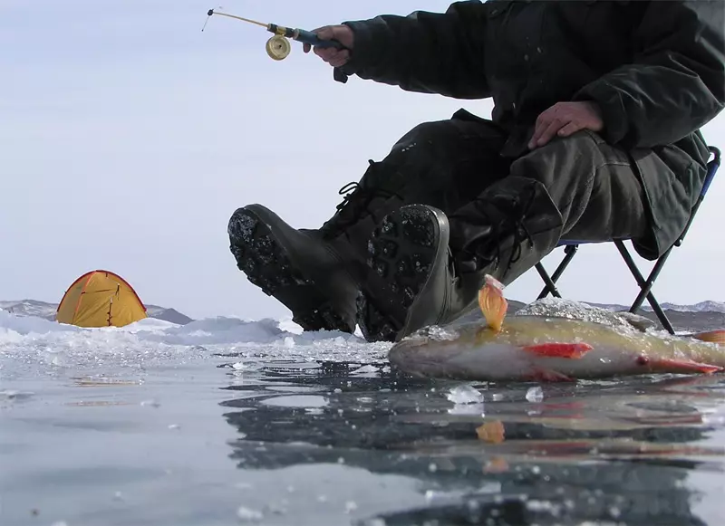 Équipement N'oubliez pas votre équipement ! Il doit faire très attention. Vous aurez besoin de cannes à pêche, de plusieurs types de filatures et de lignes de pêche. Chaque ligne - mono, fluorocarbone et tressée - est bonne à sa manière. Par exemple, l'osier fonctionne très bien pour attraper du poisson, et il est également difficile de le manquer sur la glace.