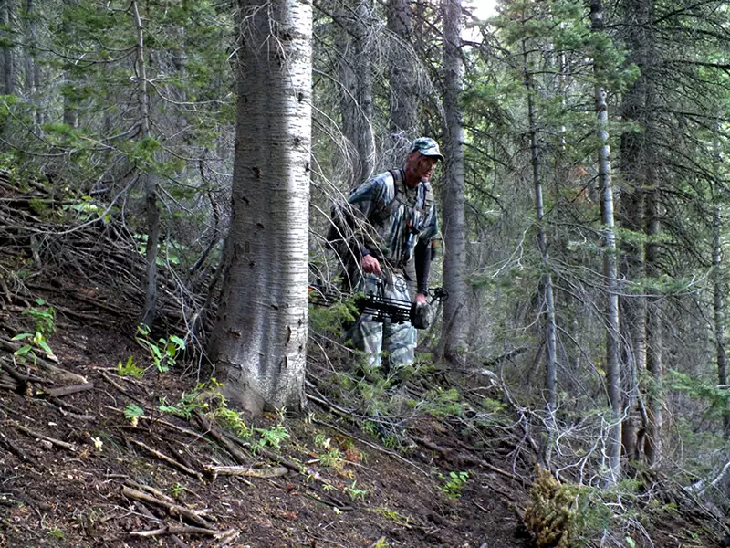 Camuflatge Les branques trencades es poden utilitzar com a camuflatge durant la caça o qualsevol altra activitat que requereixi la fusió amb el terreny. Fins i tot secs i grocs, les branquetes del vostre arbre de Cap d’Any us ajudaran a camuflar-vos amb cura.