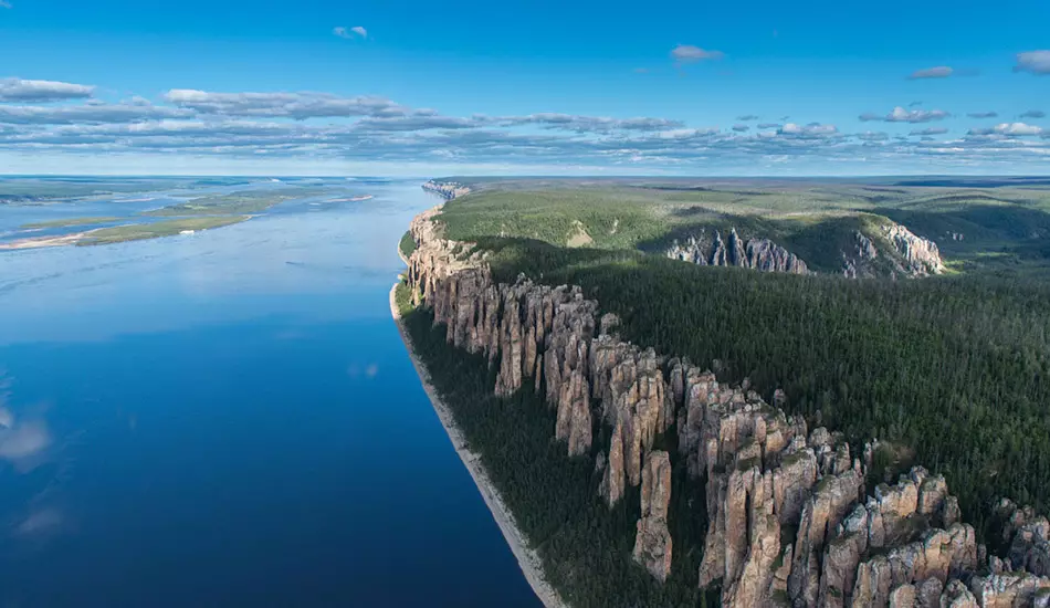 Gamtinio parko „Lenos stulpai“ floroje yra 464 rūšys, 276 gentys ir 81 kraujagyslių augalų šeima (visi aukštesni augalai, išskyrus bryofitus), o fauna - 42 žinduolių ir 99 paukščių rūšys.