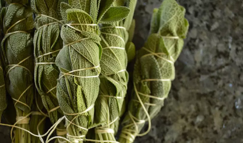 Avstötande på 5 sekunder Du kan enkelt lätta din ryggsäck från flera repellenter. Det räcker med att kasta ett gäng salvia i elden för att hålla irriterande insekter borta från ditt läger.