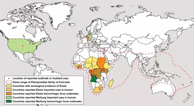 Afrikkalainen teloittaja Ebola